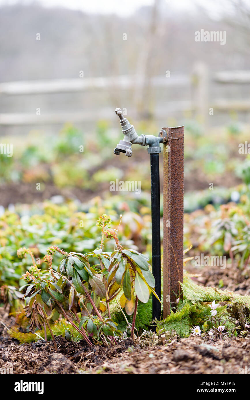 Garden water standpipe hi-res stock photography and images - Alamy