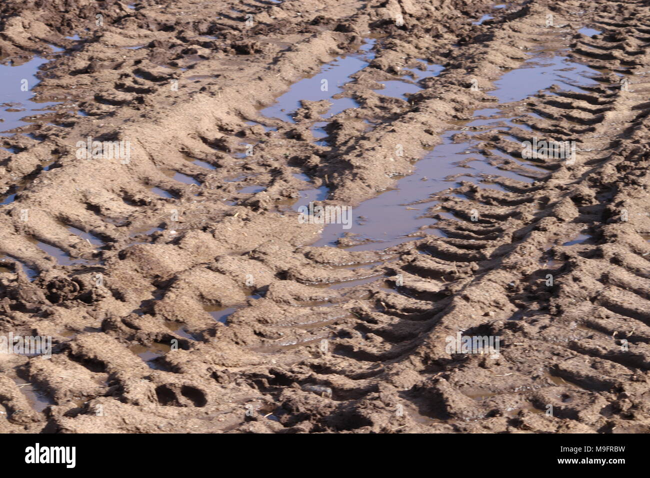 Tyre tracks in mud, abstract Stock Photo - Alamy