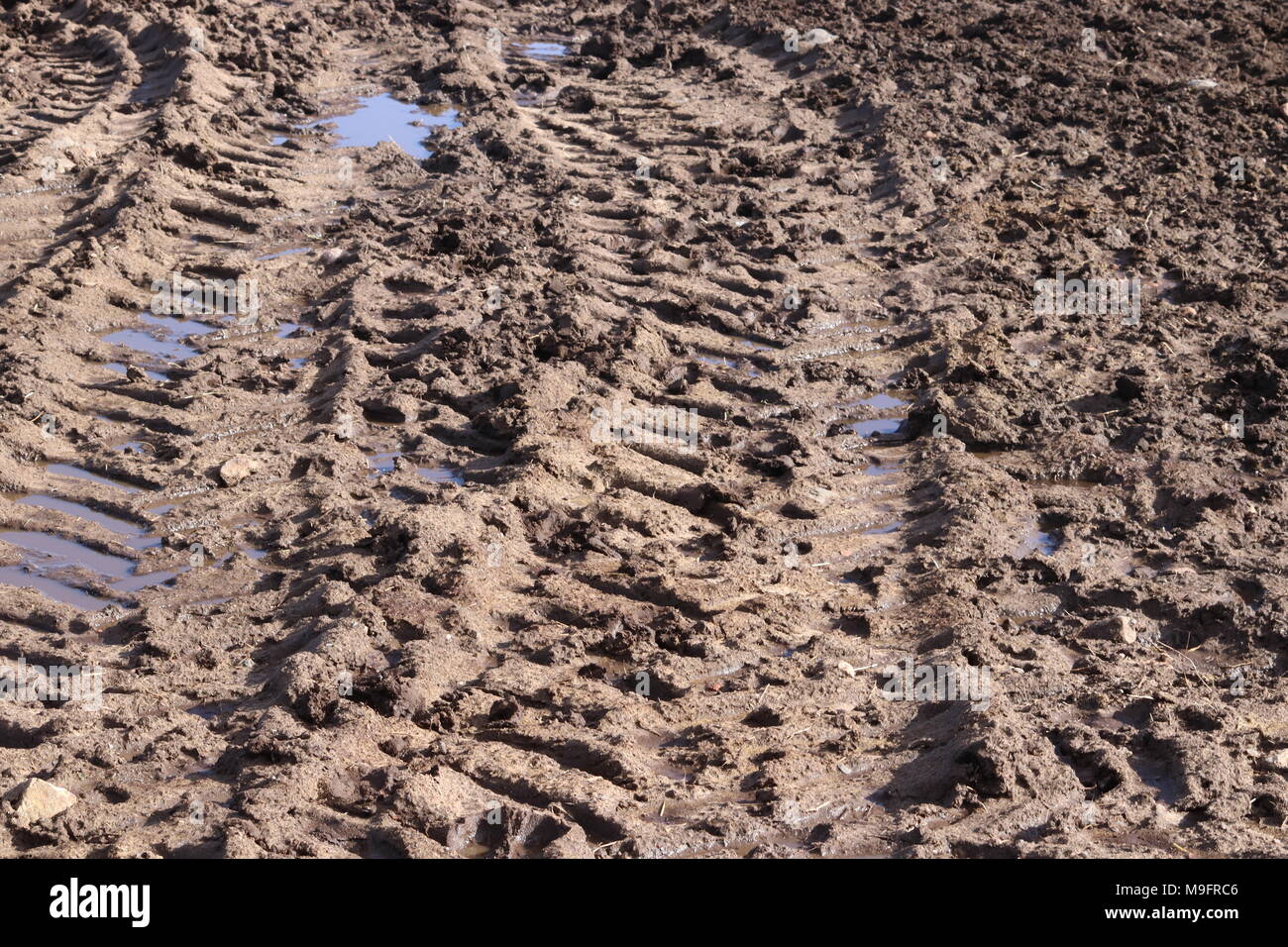 Tyre tracks in mud, abstract Stock Photo - Alamy