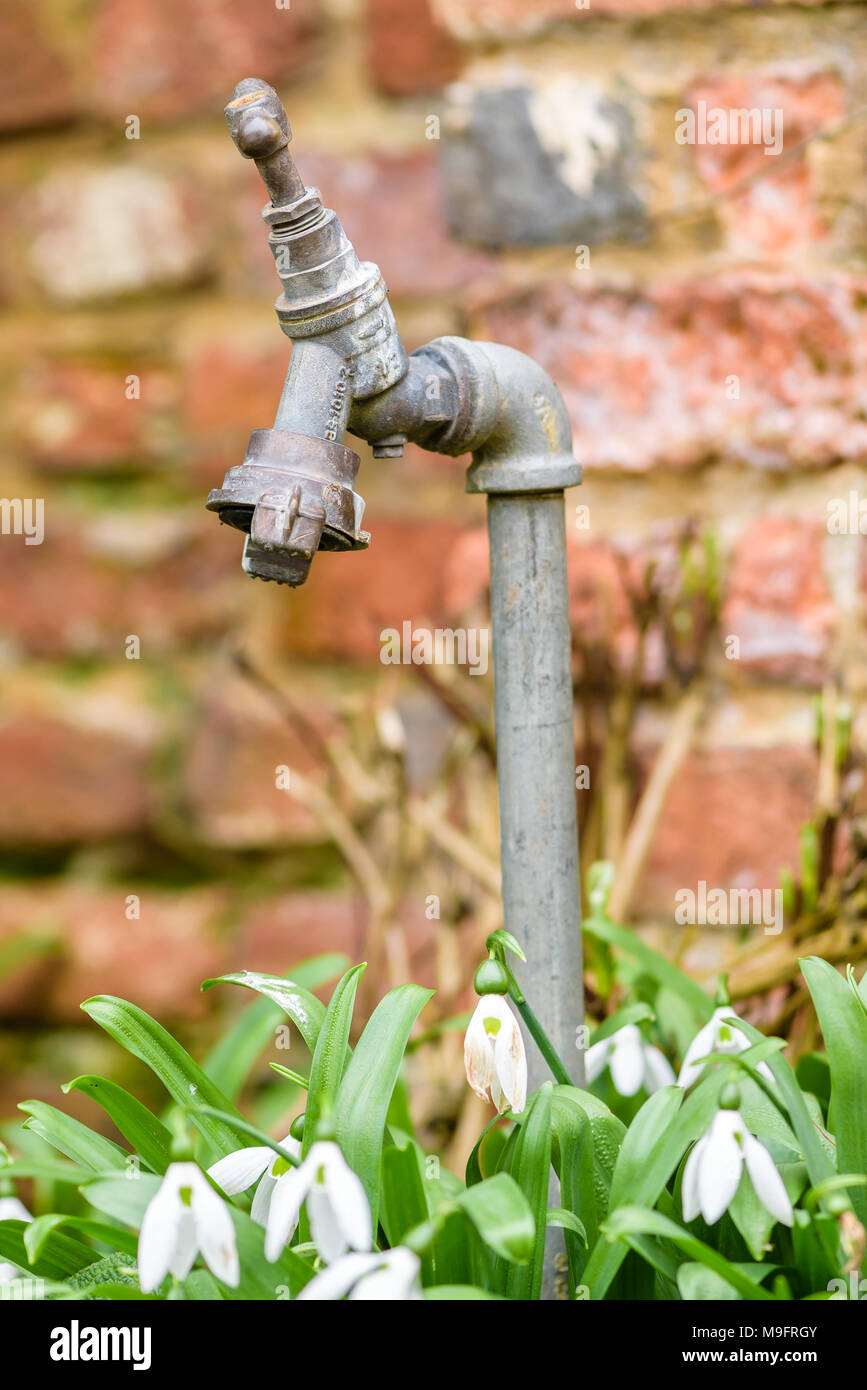 Old Garden Tap standpipe Stock Photo - Alamy