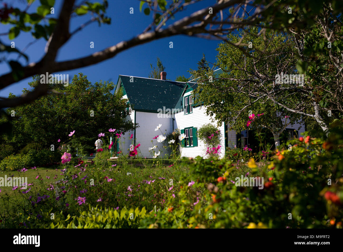 The iconic Green Gables farm house from the Lucy Maud Montgomery novel ...