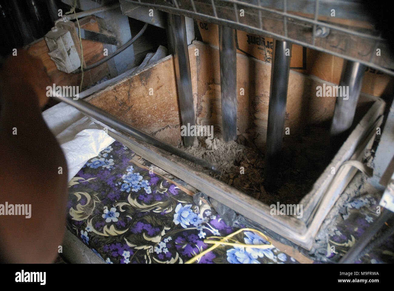 Kava manufacture at processing plant, Lautoka, Fiji Stock Photo - Alamy