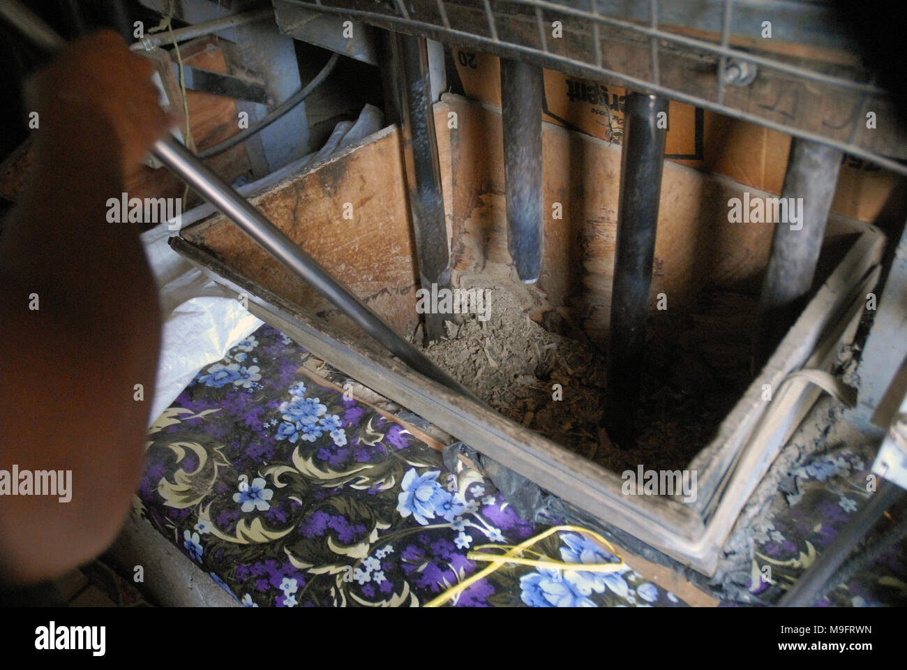 Kava manufacture at processing plant, Lautoka, Fiji Stock Photo - Alamy