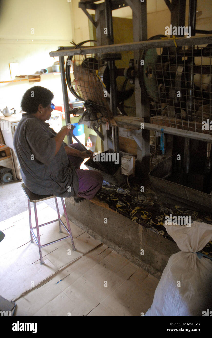 Kava manufacture at processing plant, Lautoka, Fiji Stock Photo - Alamy