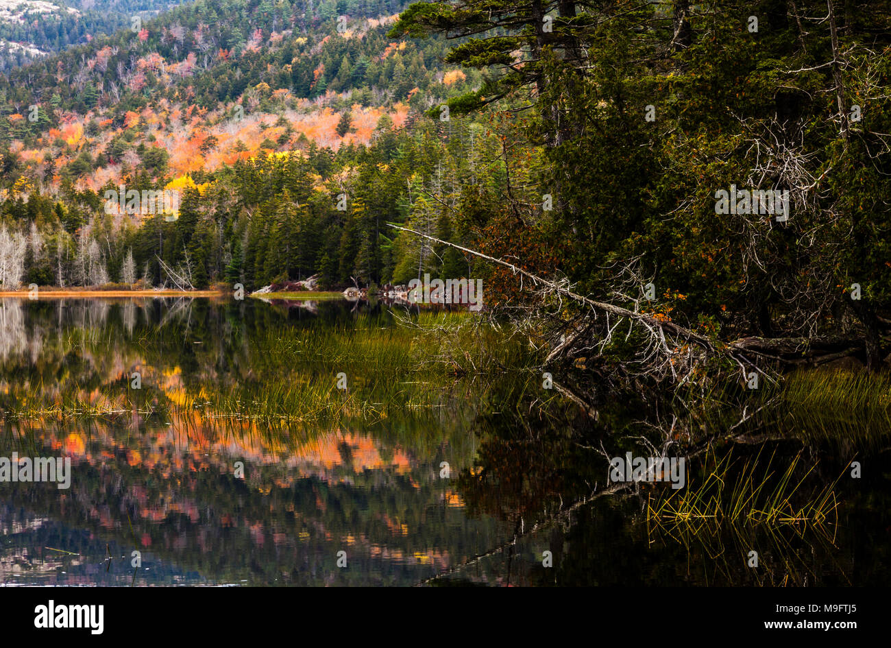 Fall Upper Hadlock Pond Acadia National Park, Mount Desert Island ...