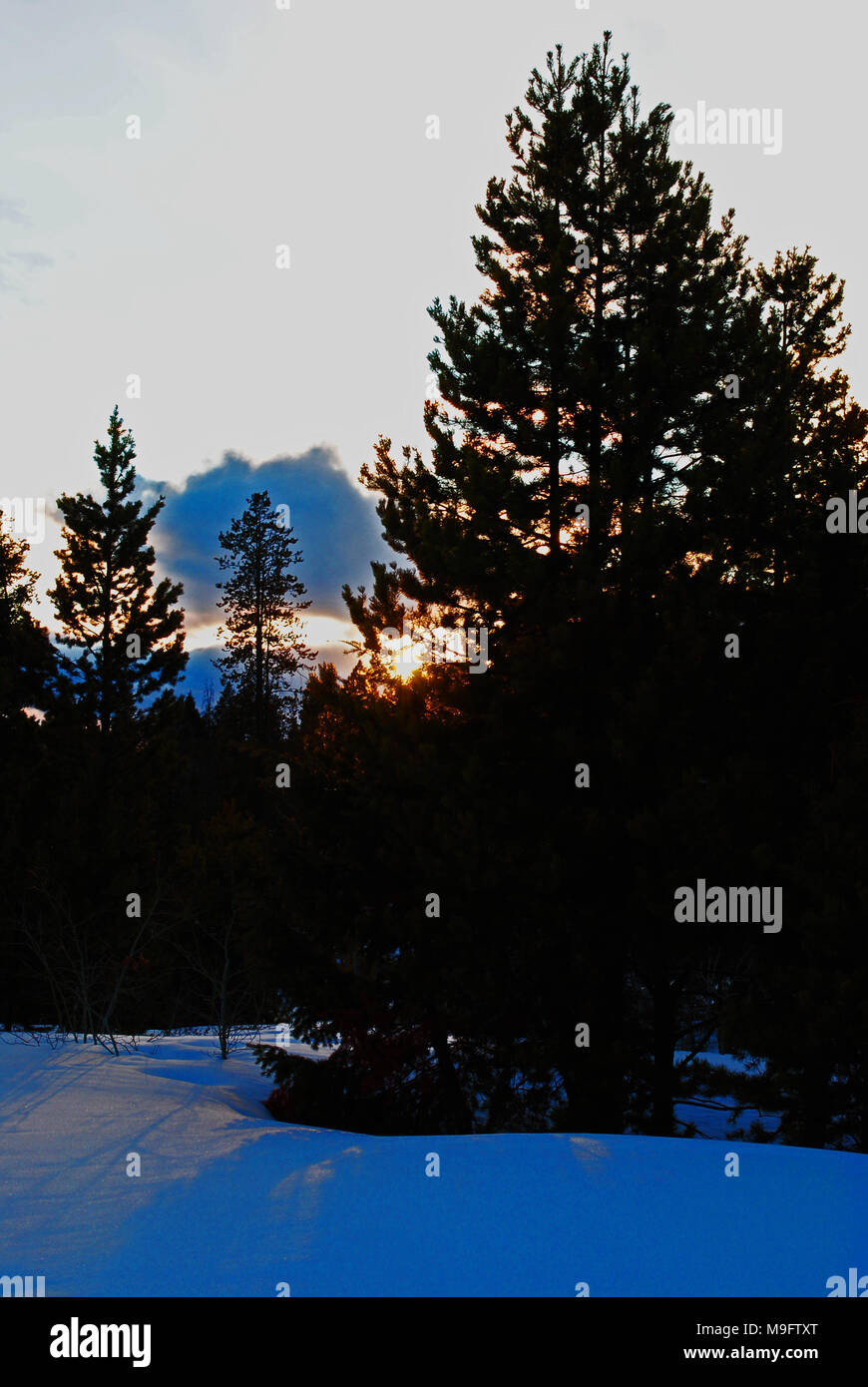 Homestake montana hi-res stock photography and images - Alamy