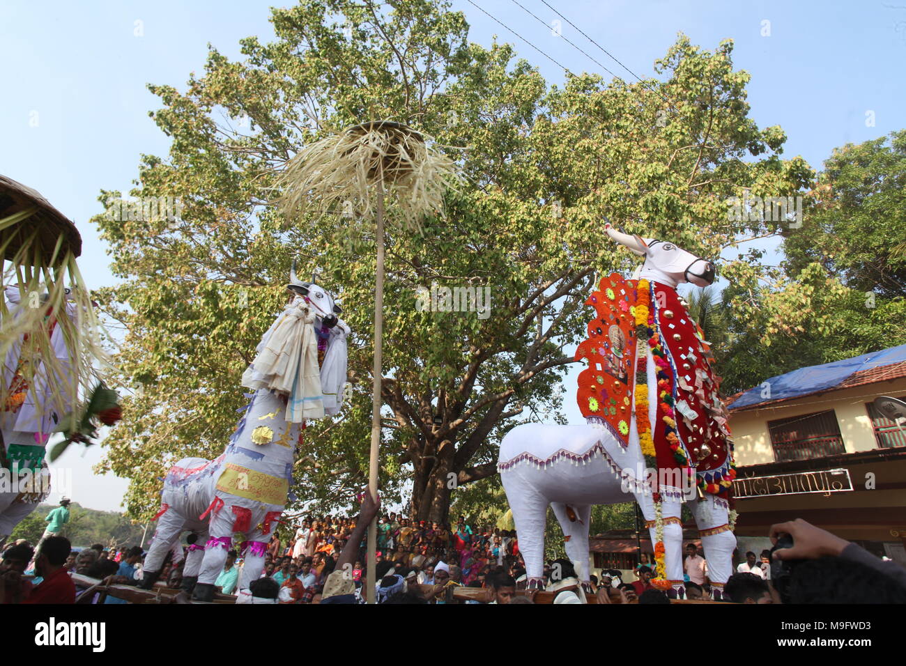 Kerala Temple Festival