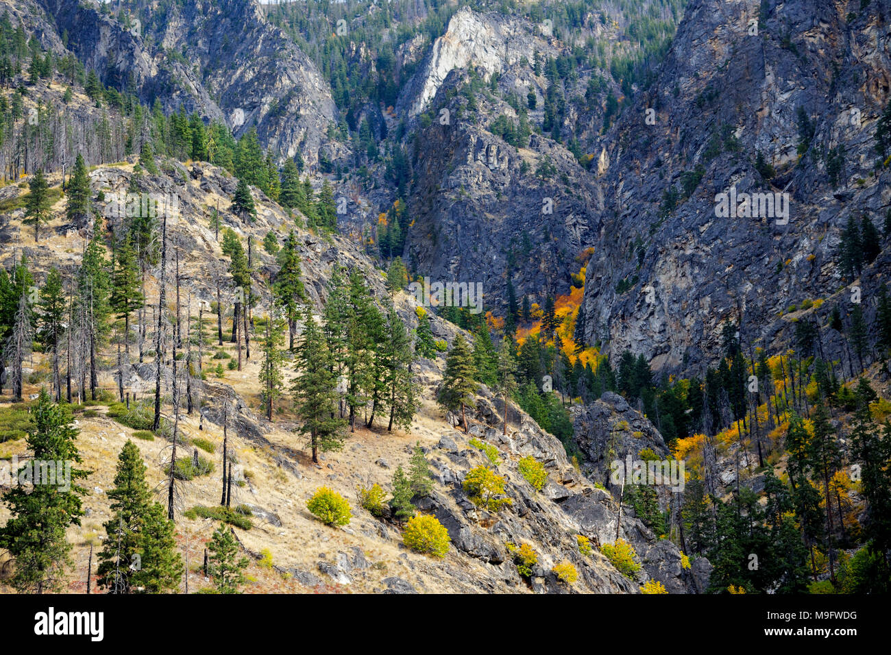 41,926.03440 Deep steep rocky canyon gorge landscape with cliffs, dry ...