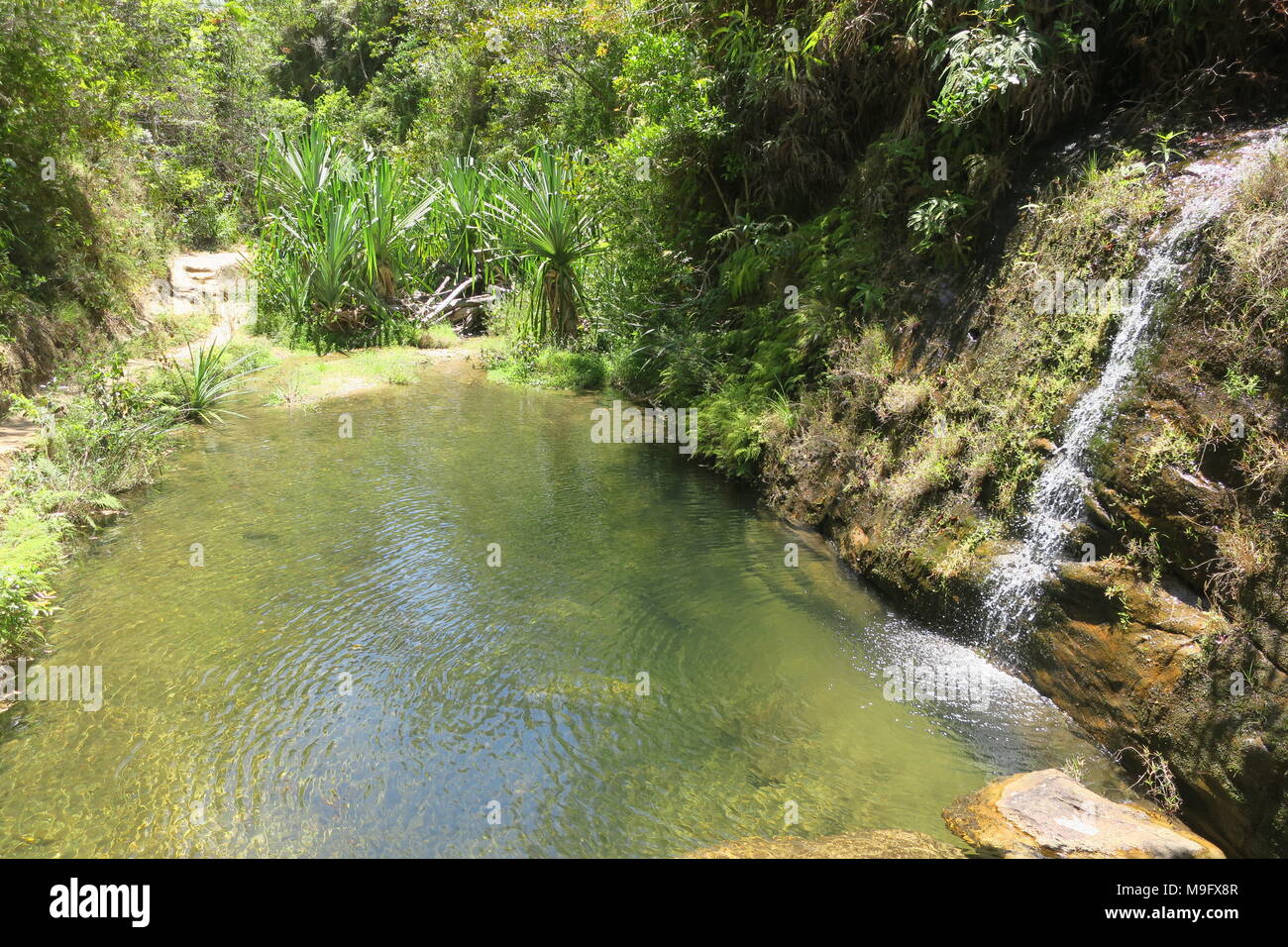 On a way to calm pool on Madagascar island Stock Photo - Alamy