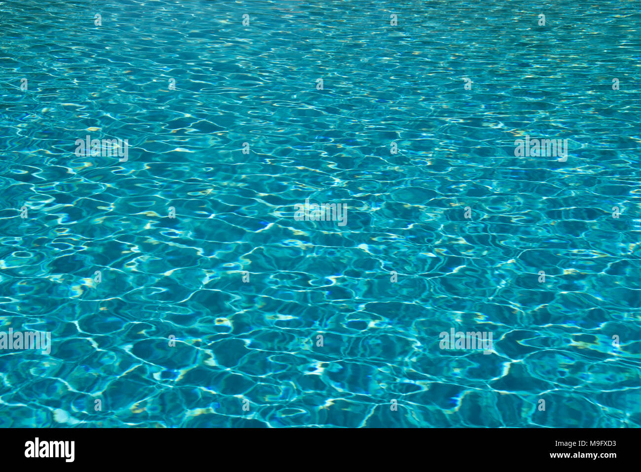Clear blue water in the swimming pool on a sunny day with ripples on ...