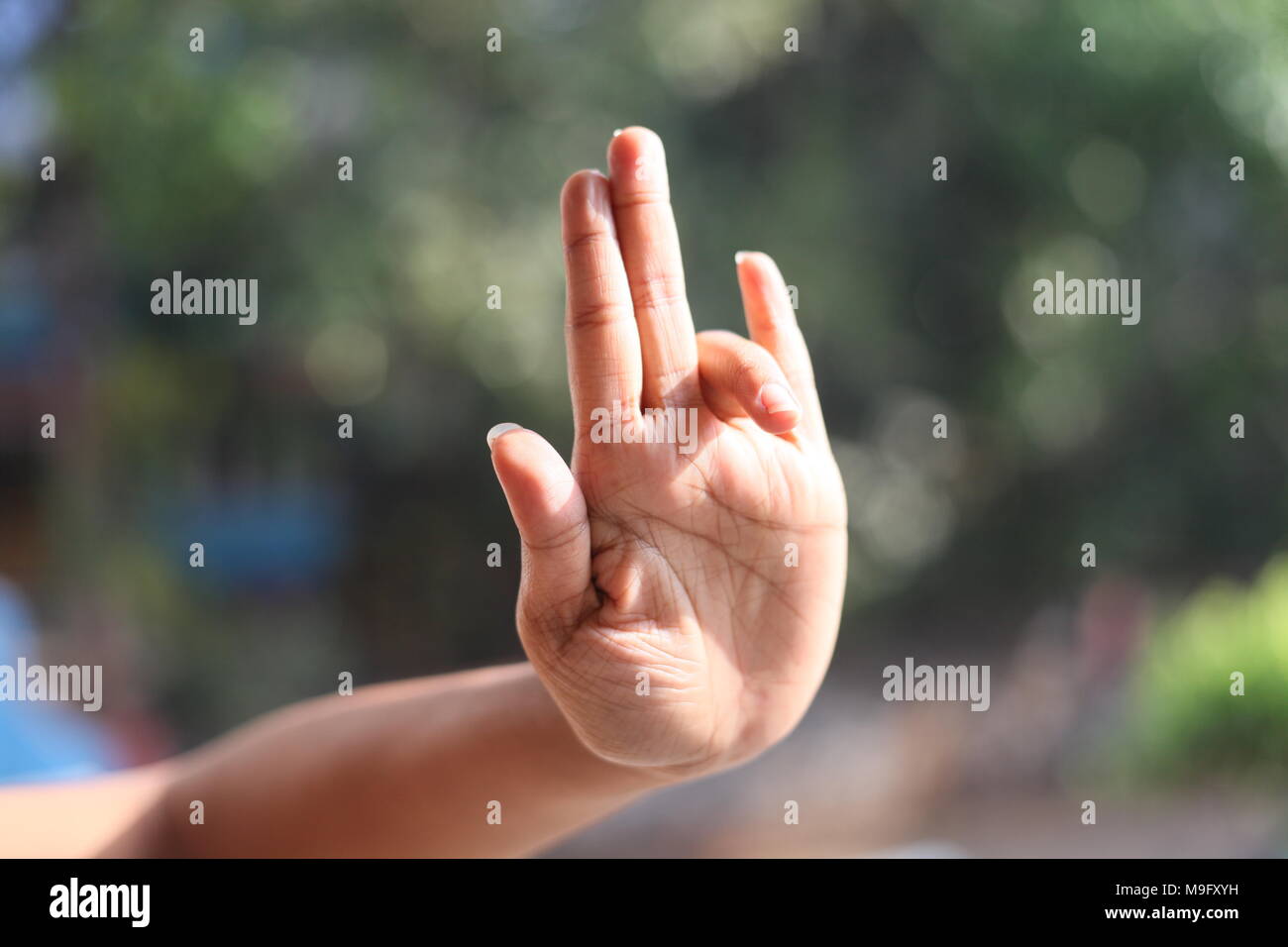 Simhamukha hi-res stock photography and images - Alamy