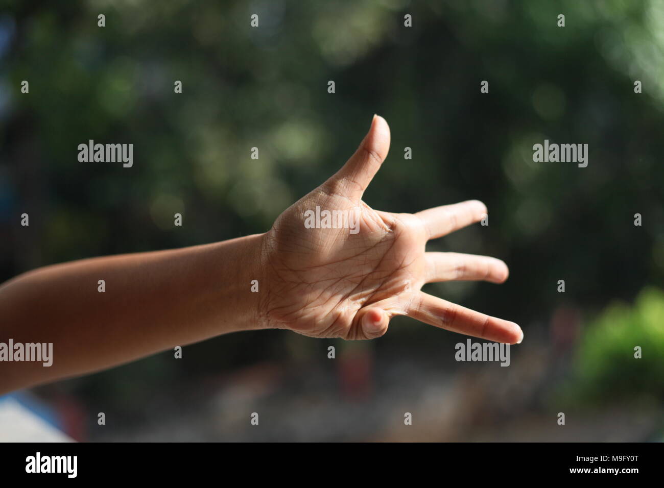 mudra or hand gesture used in indian classical dance Stock Photo - Alamy