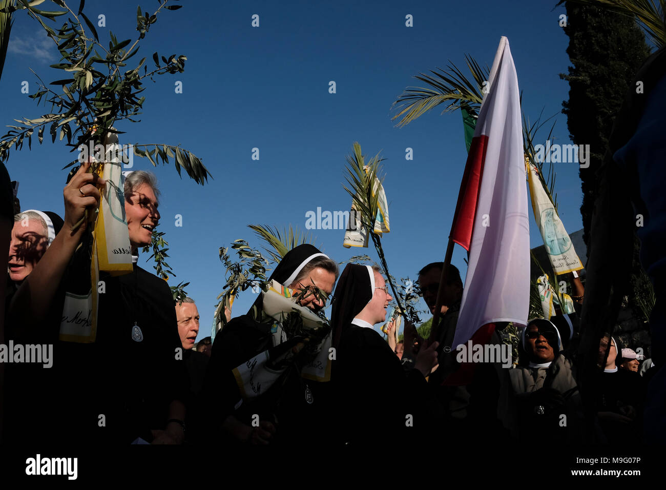 Catholic nuns holding palm and olive leaves during the traditional Palm ...