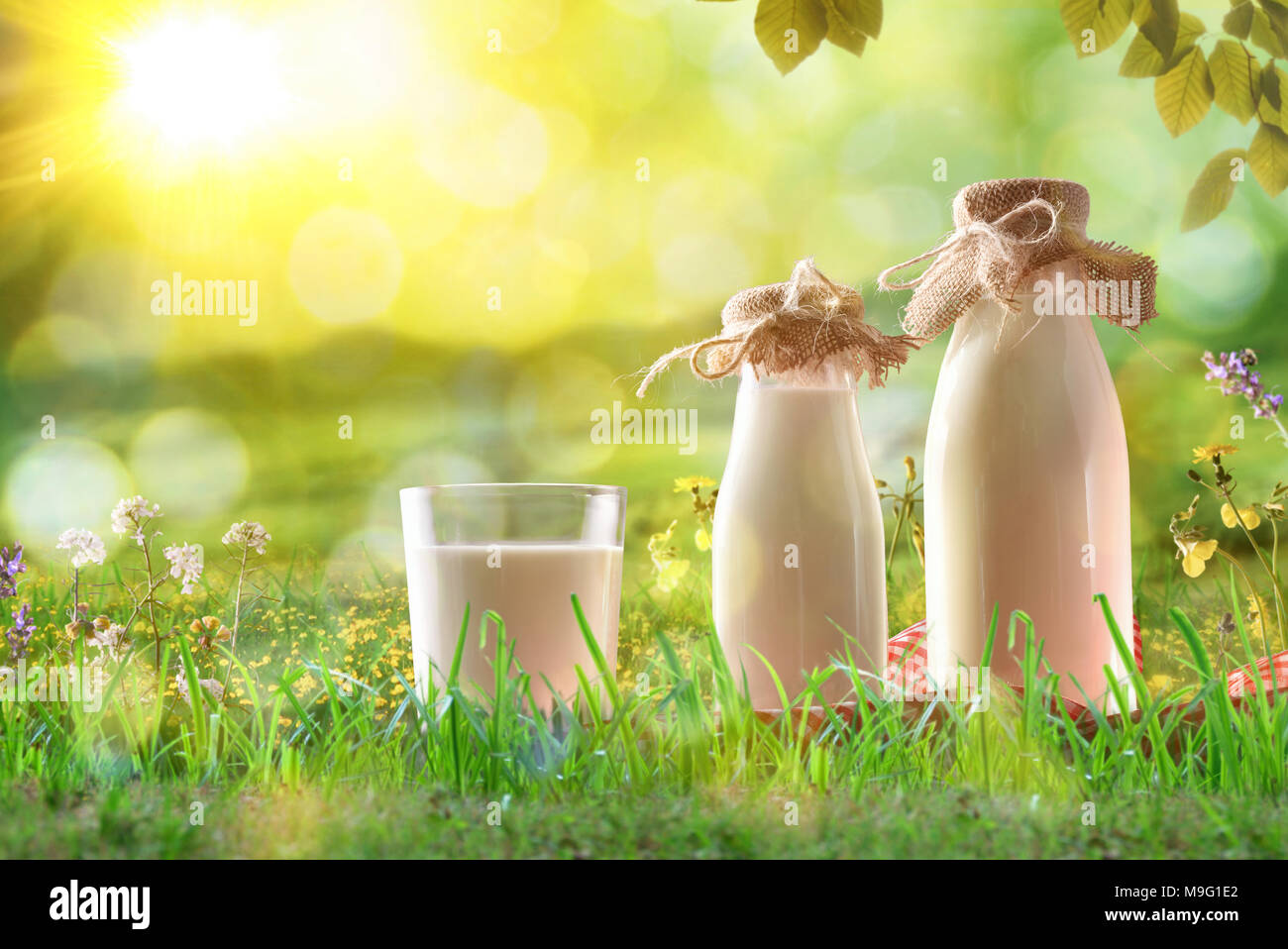 Green glass containers hi-res stock photography and images - Alamy