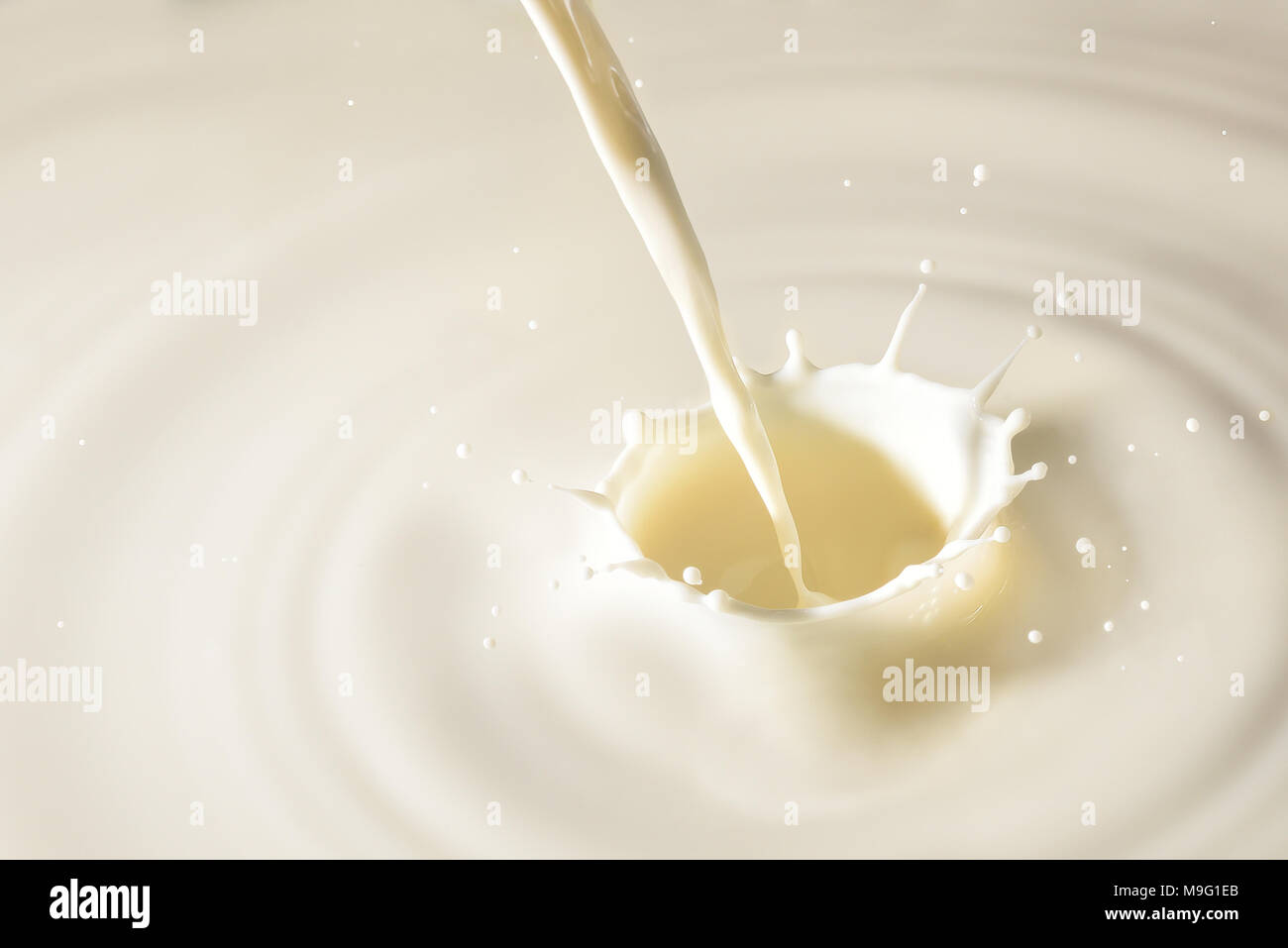 Stream of milk falling on milk background and splashing drops ...