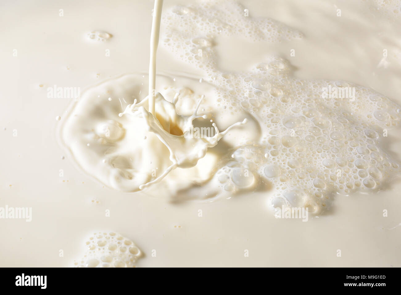 Stream of milk poured on milk background and splashing drops and ...