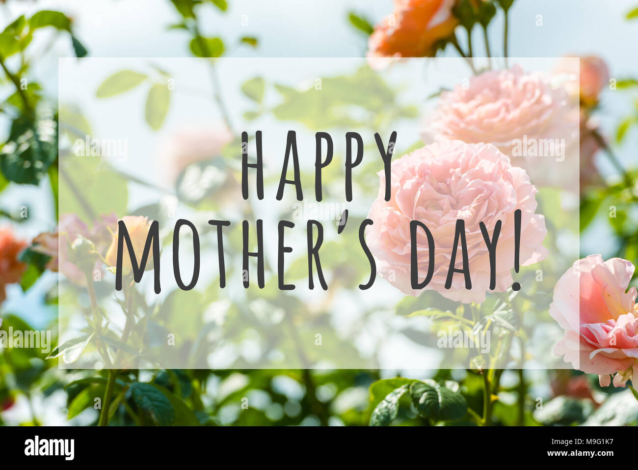 Happy mothers day text on blurred flowers background Stock Photo - Alamy