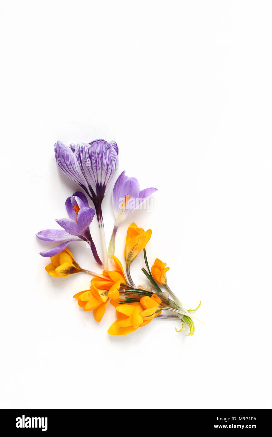 Photo on top flowers Cut Out Stock Images & Pictures - Alamy