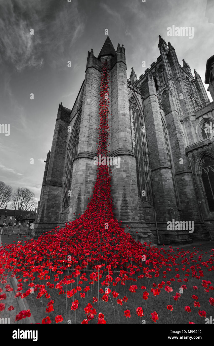 Weeping window display of ceramic poppies Hereford Cathedral UK March ...