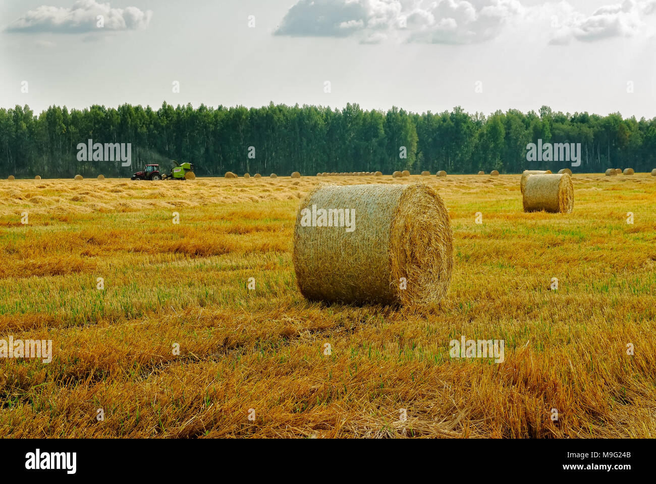 Hay bale. Agriculture field with sky. Rural nature in the farm land ...