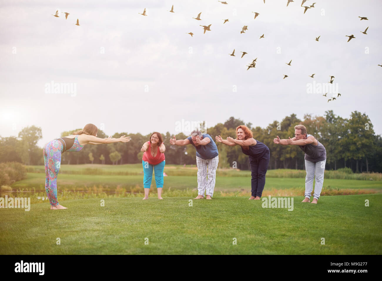 Group healthy fitness exercise outdoor. People bending and stretching ...