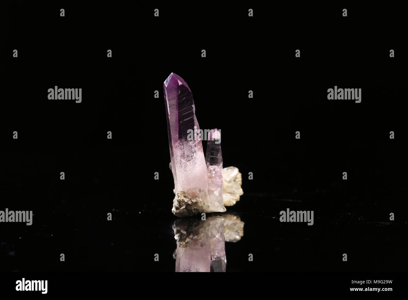 Amethyst mineral close up mineral specimen geology rocks Stock Photo ...