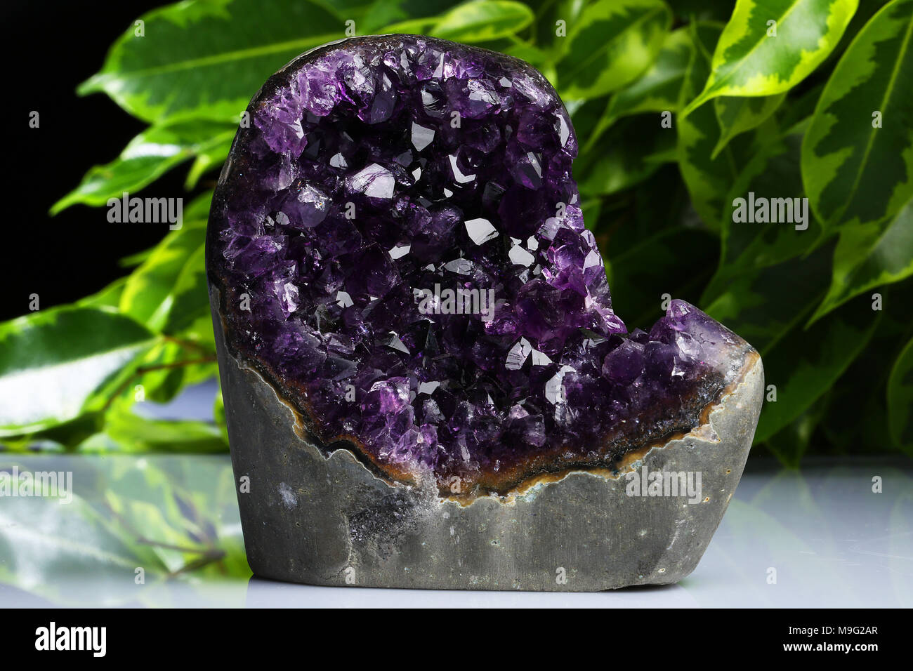 Amethyst mineral close up mineral specimen geology rocks Stock Photo ...
