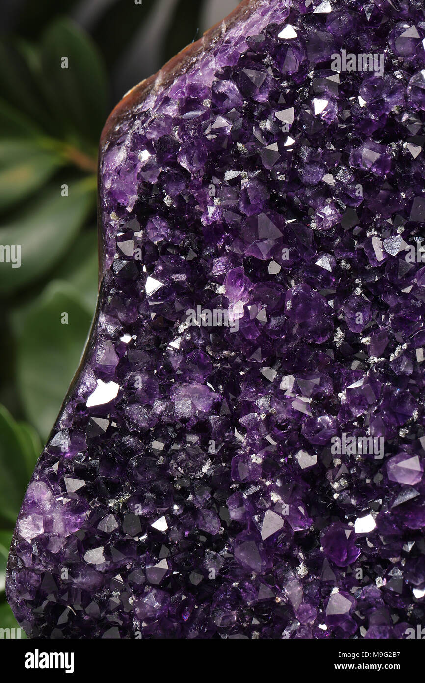 Amethyst mineral close up mineral specimen geology rocks Stock Photo ...