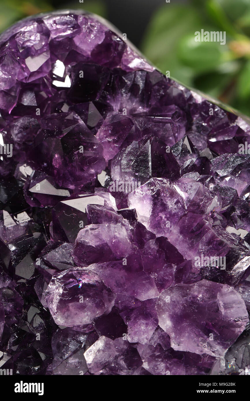 Amethyst mineral close up mineral specimen geology rocks Stock Photo ...