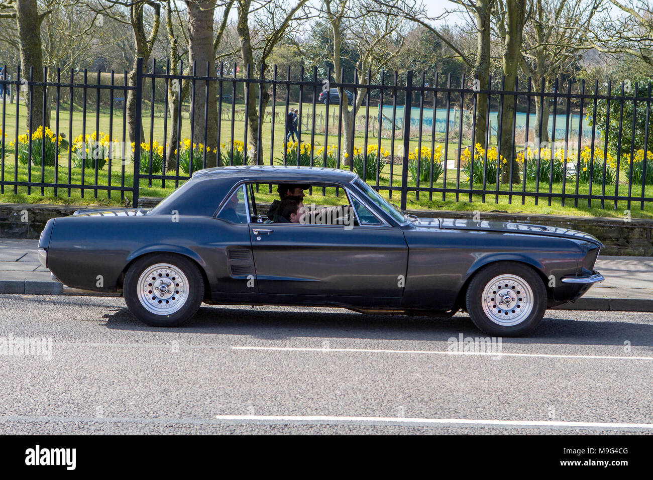 Blurred moving car Shelby FORD MUSTANG GT AUTO American muscle car Slow ...