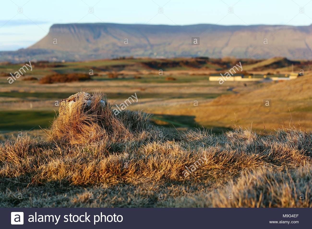 Discover sligo hi-res stock photography and images - Alamy