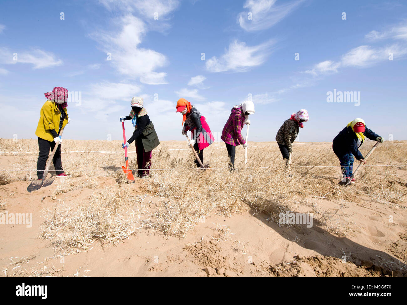 Hohhot, China's Inner Mongolia Autonomous Region. 25th Mar, 2018 ...