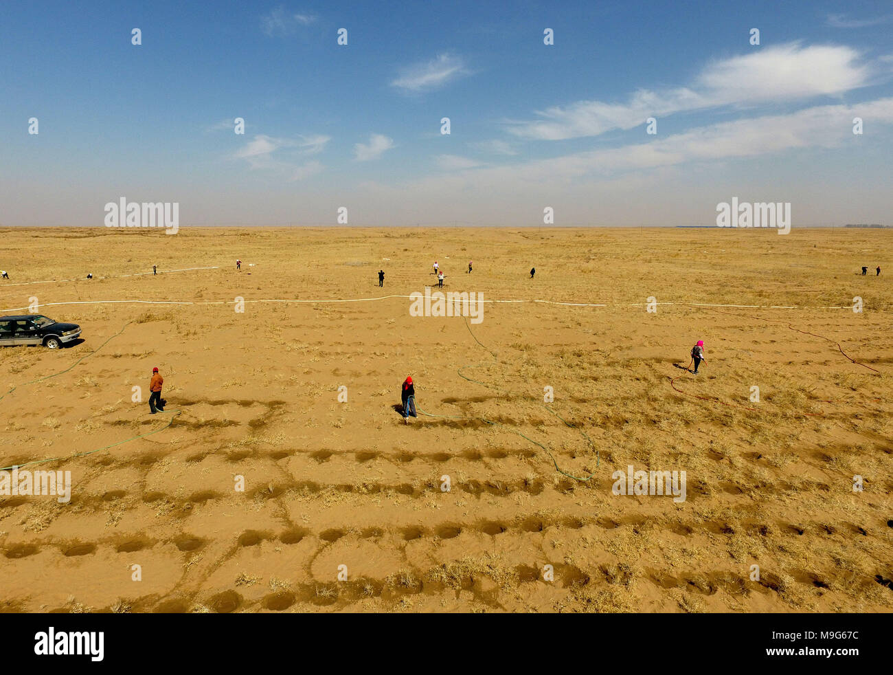 Desert planting trees hi-res stock photography and images - Alamy