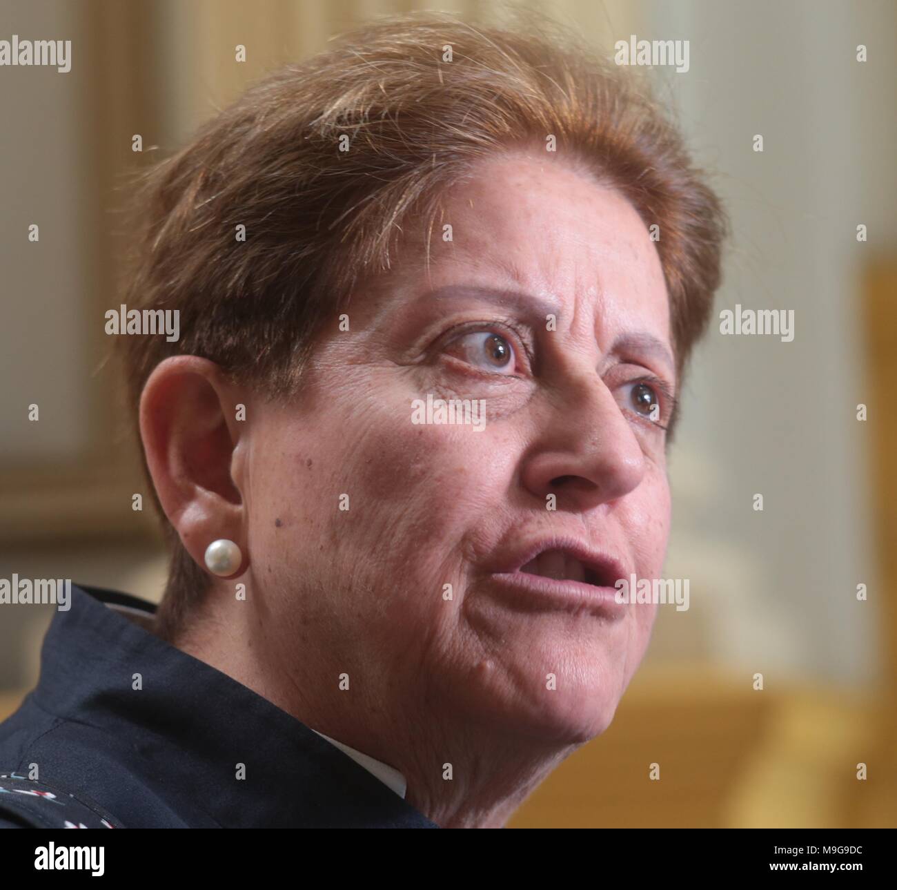 LIMA, FEBRERO 07 DEL 2017 CONGRESO DE LA REPUBLICA HALL DE LOS PASOS ...