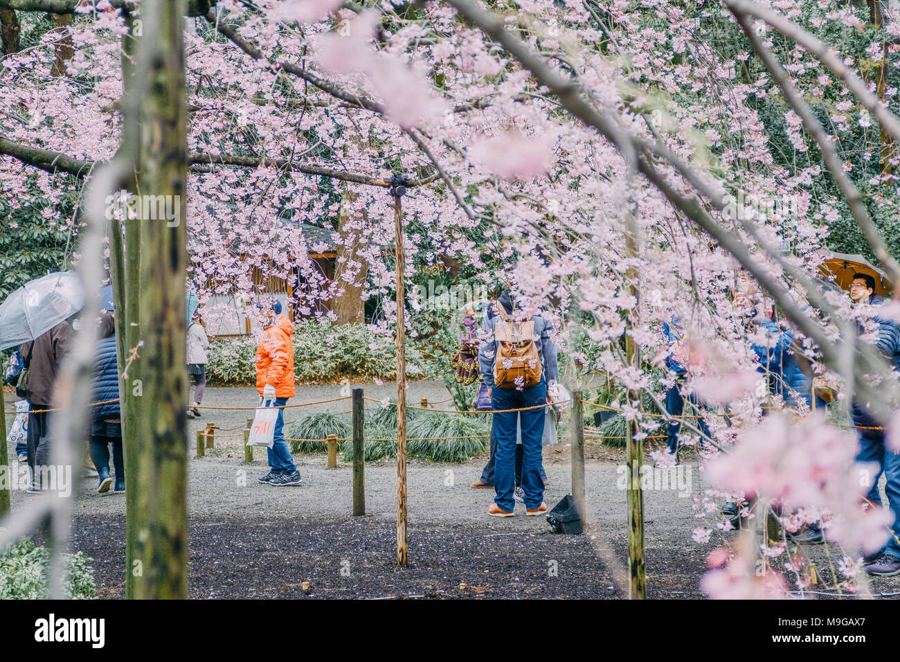 Tokugawa shogun hi-res stock photography and images - Alamy