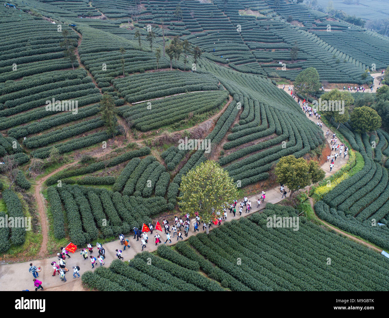 Hangzhou, China's Zhejiang Province. 26th Mar, 2018. Tourists visit a ...