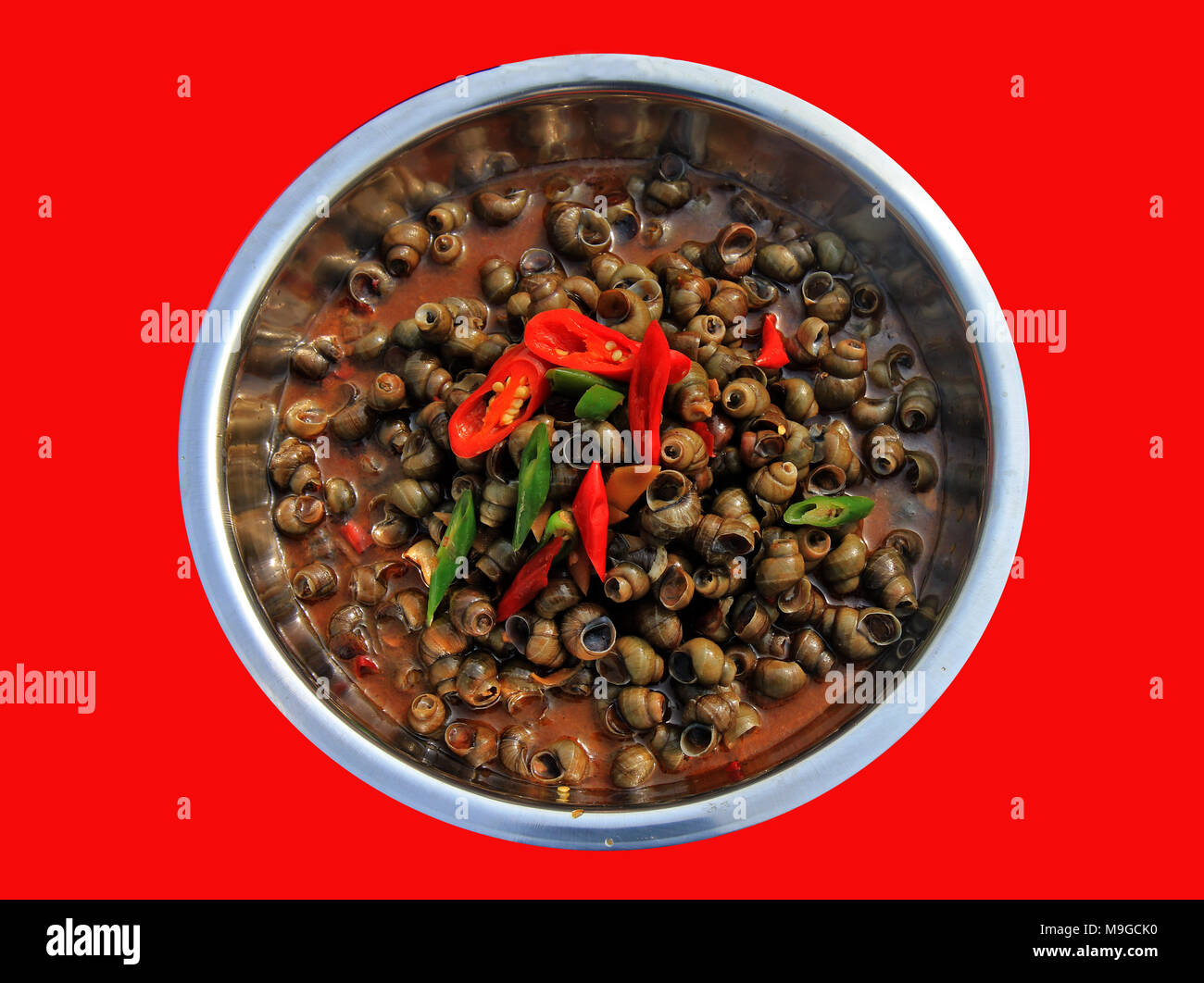 Melanioides hi-res stock photography and images - Alamy