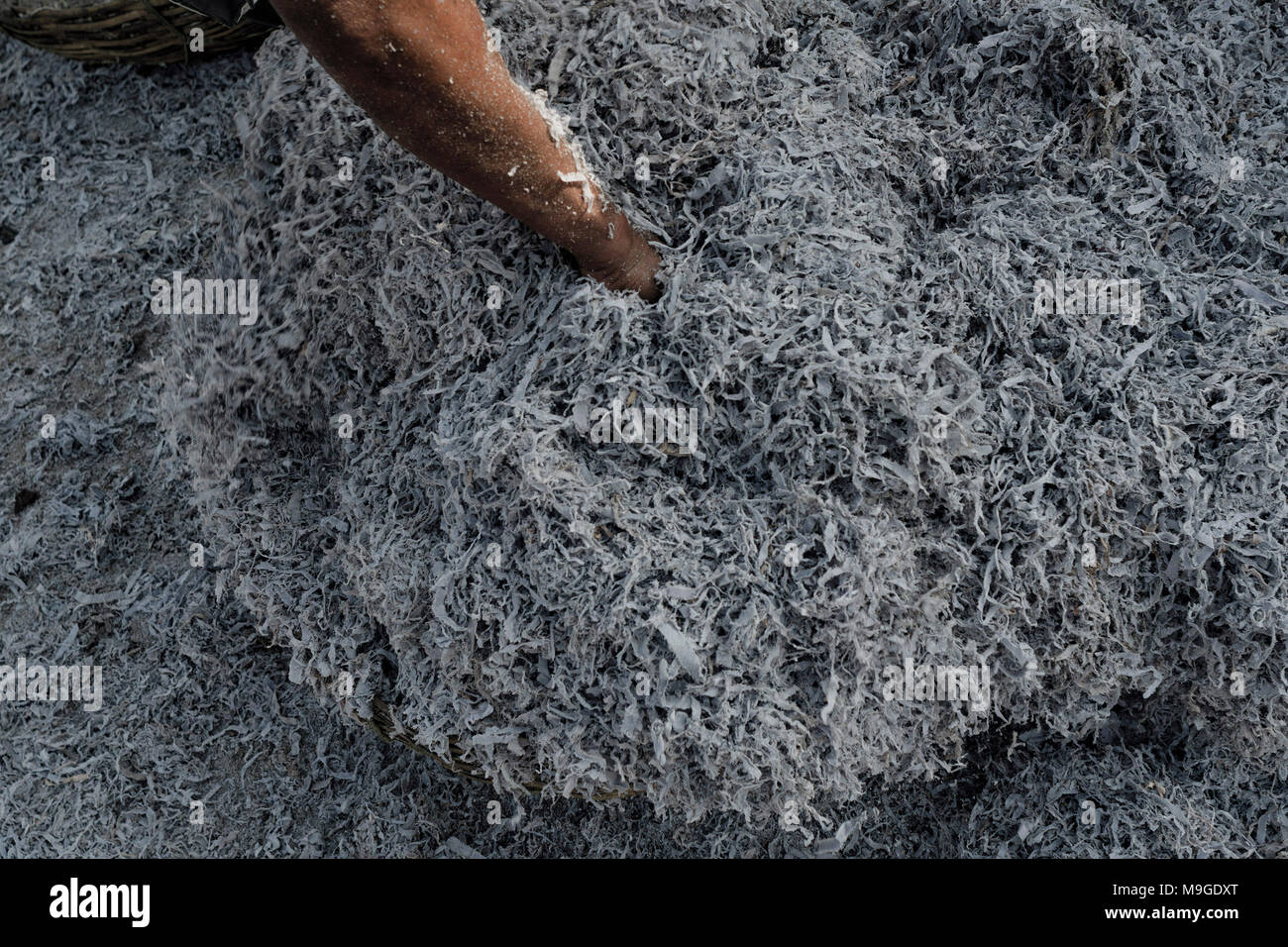 February 26, 2018 - Kolkata, west bengal, India - Tannery, the ...