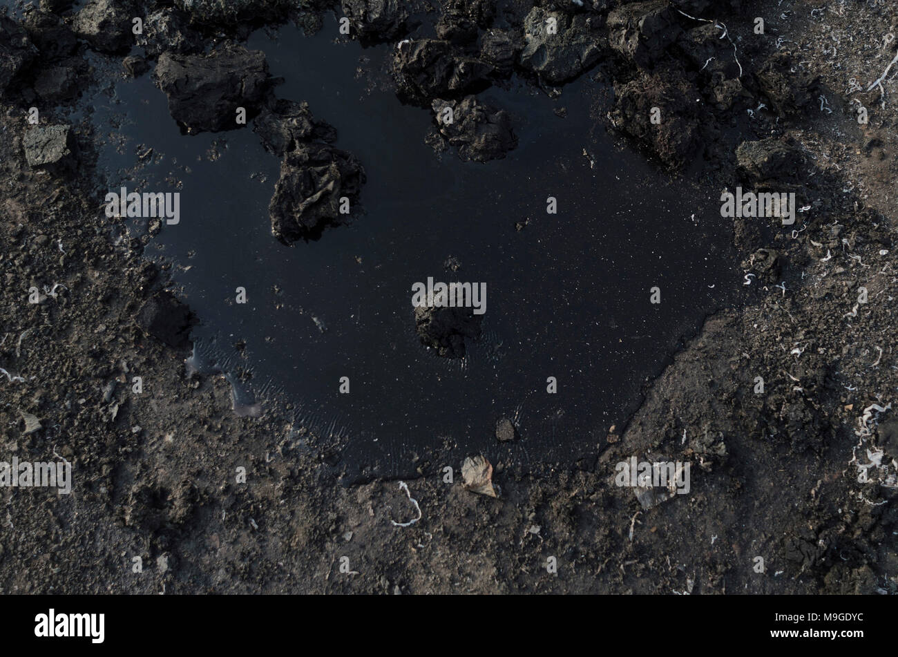 Bantala hi-res stock photography and images - Alamy