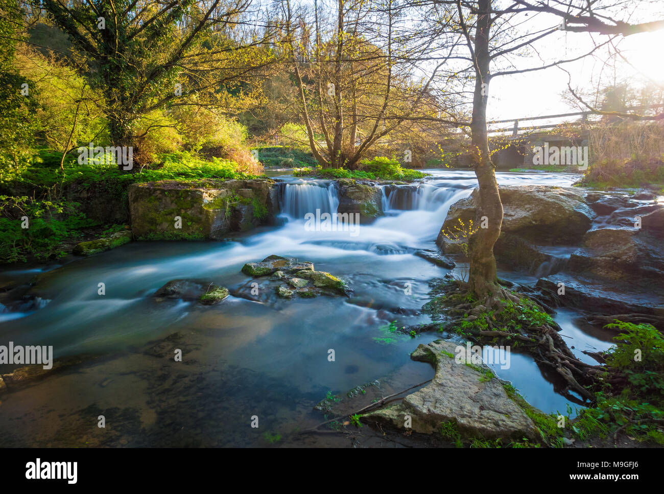 Waterfalls of Monte Gelato in the Regional park of Valle del Treja ...