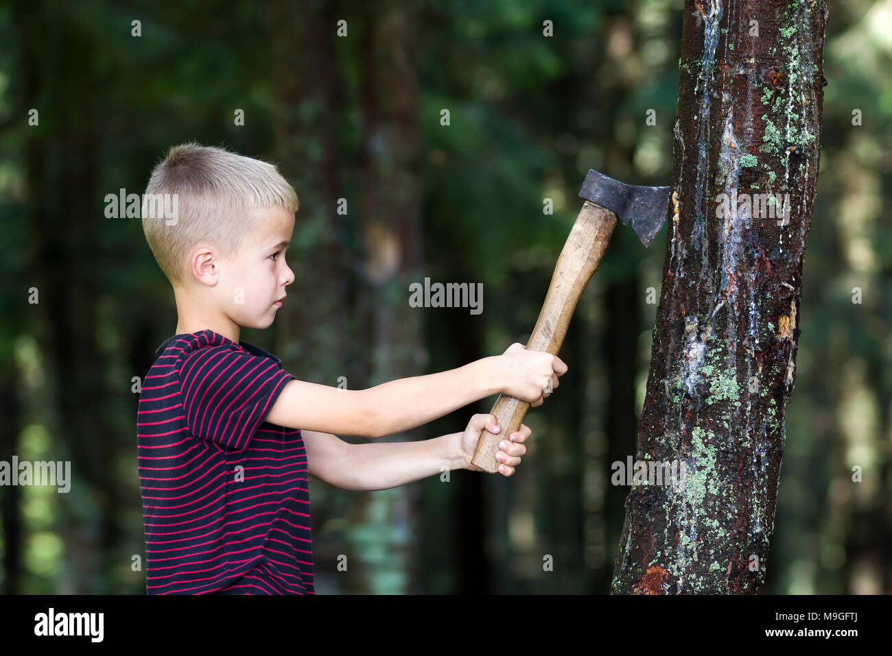 Small boy with heavy old iron axe cutting tree trump in forest on ...
