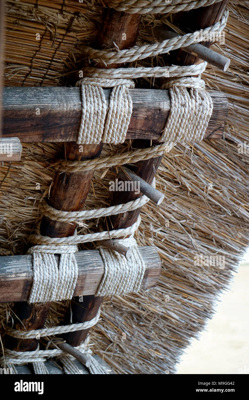 Vernacular wooden farmhouses with thatched roofs in the historic ...