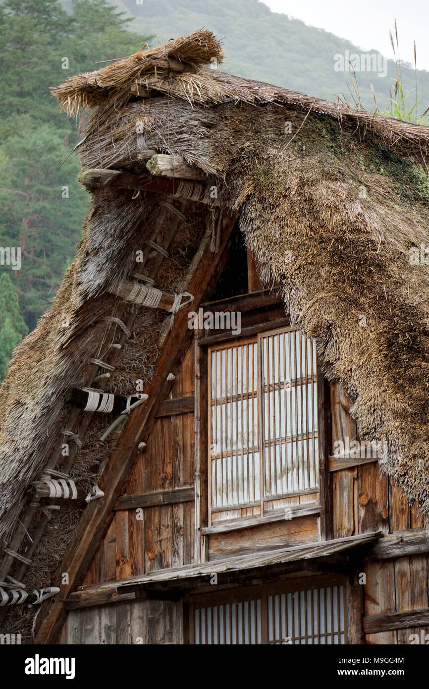 Vernacular wooden farmhouses with thatched roofs in the historic ...