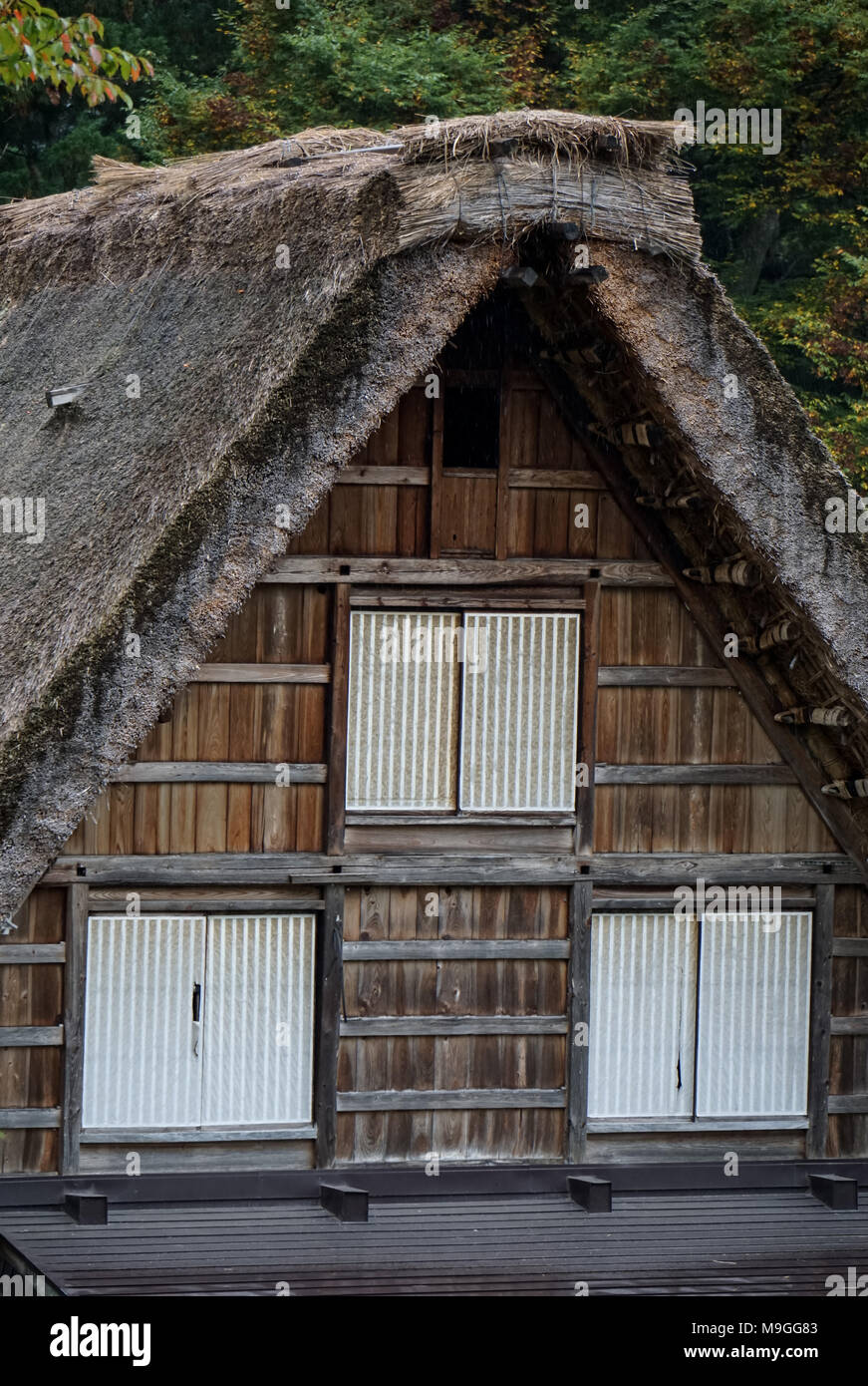 Vernacular wooden farmhouses with thatched roofs in the historic ...