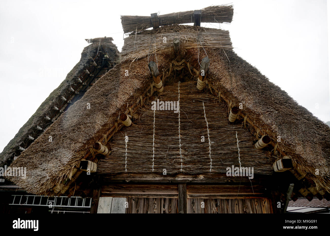 Vernacular wooden farmhouses with thatched roofs in the historic ...