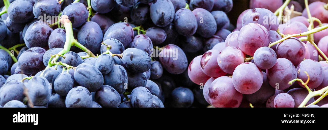 Purple and Red Grapes in a Sorrento Fruit Market Stock Photo - Alamy