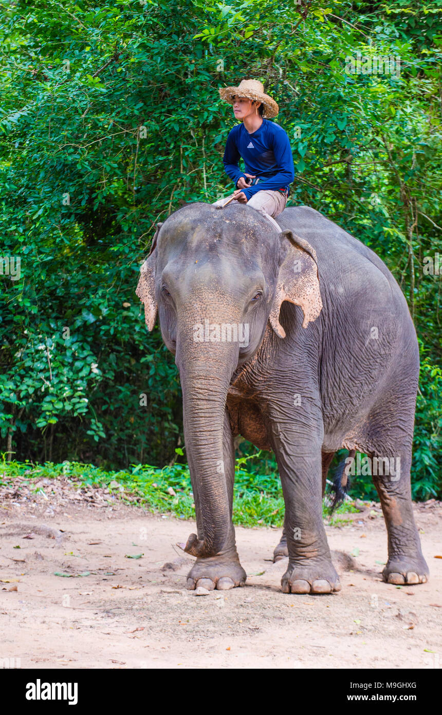 Cambodian man riding an Elephant at the Angkor Thom in Siem Reap ...