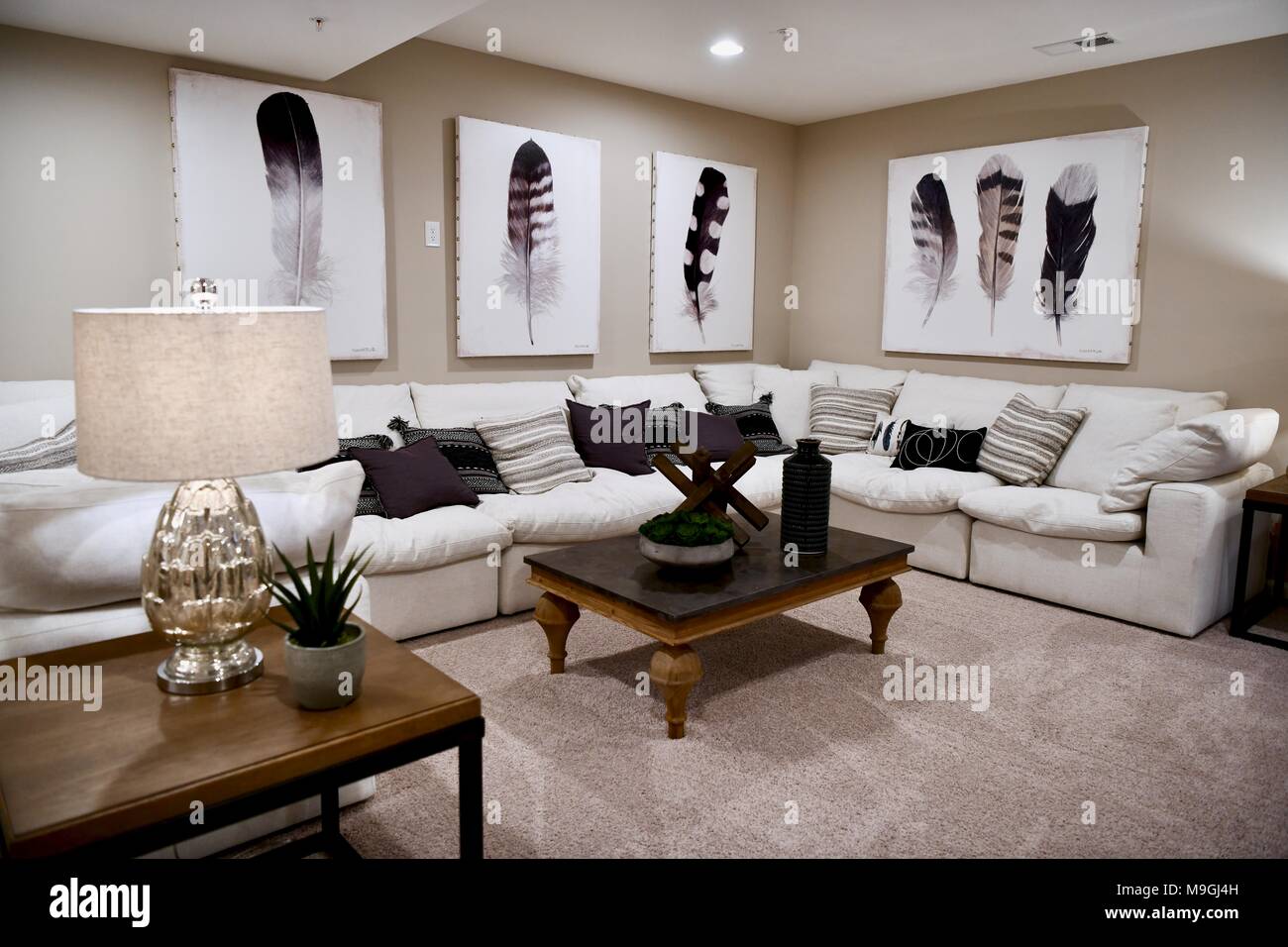 View of living room from inside a modern house Stock Photo - Alamy