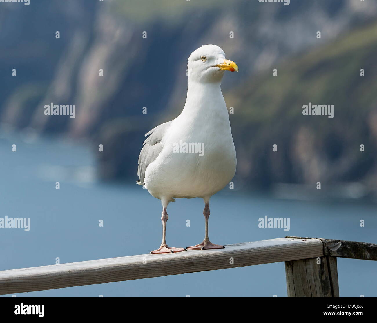 Poison glen donegal ireland hi-res stock photography and images - Alamy