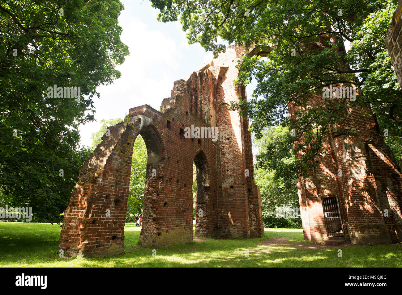 The medieval gothic ruins of Eldena Abbey (Klosterruine) in Greifswald ...